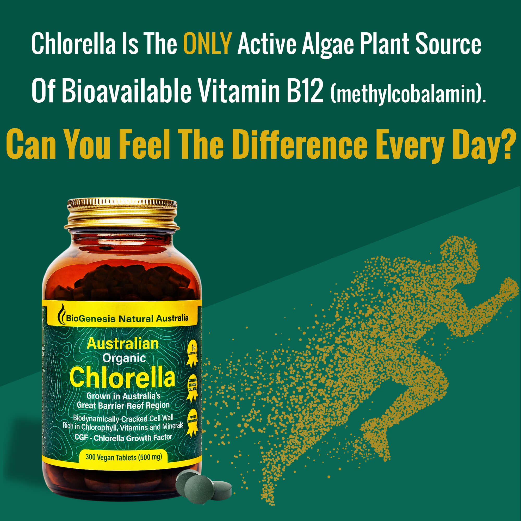 Organic Australian Superfoods - Your Most Nutrient-Dense Superfoods ...